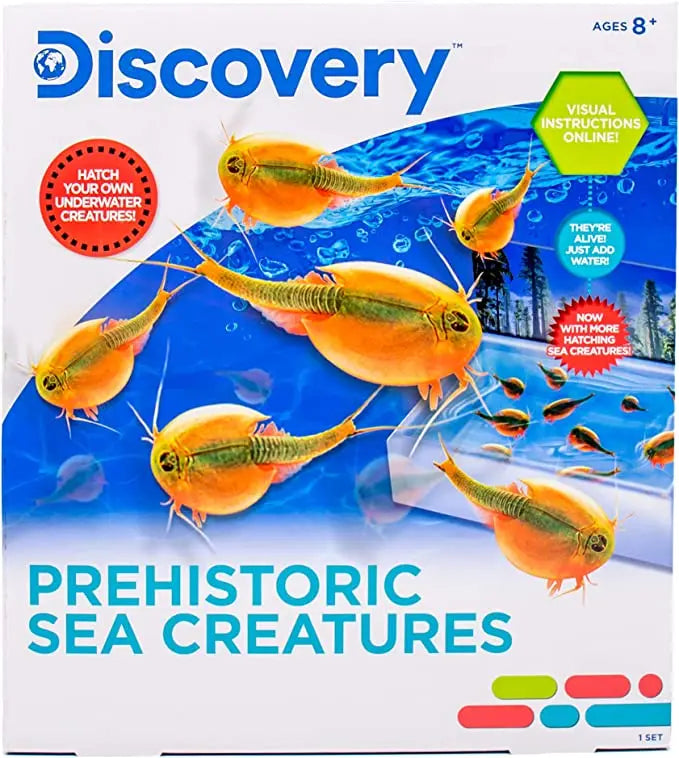 Discovery Prehistoric Sea Creatures – Da Vinci School Supplies